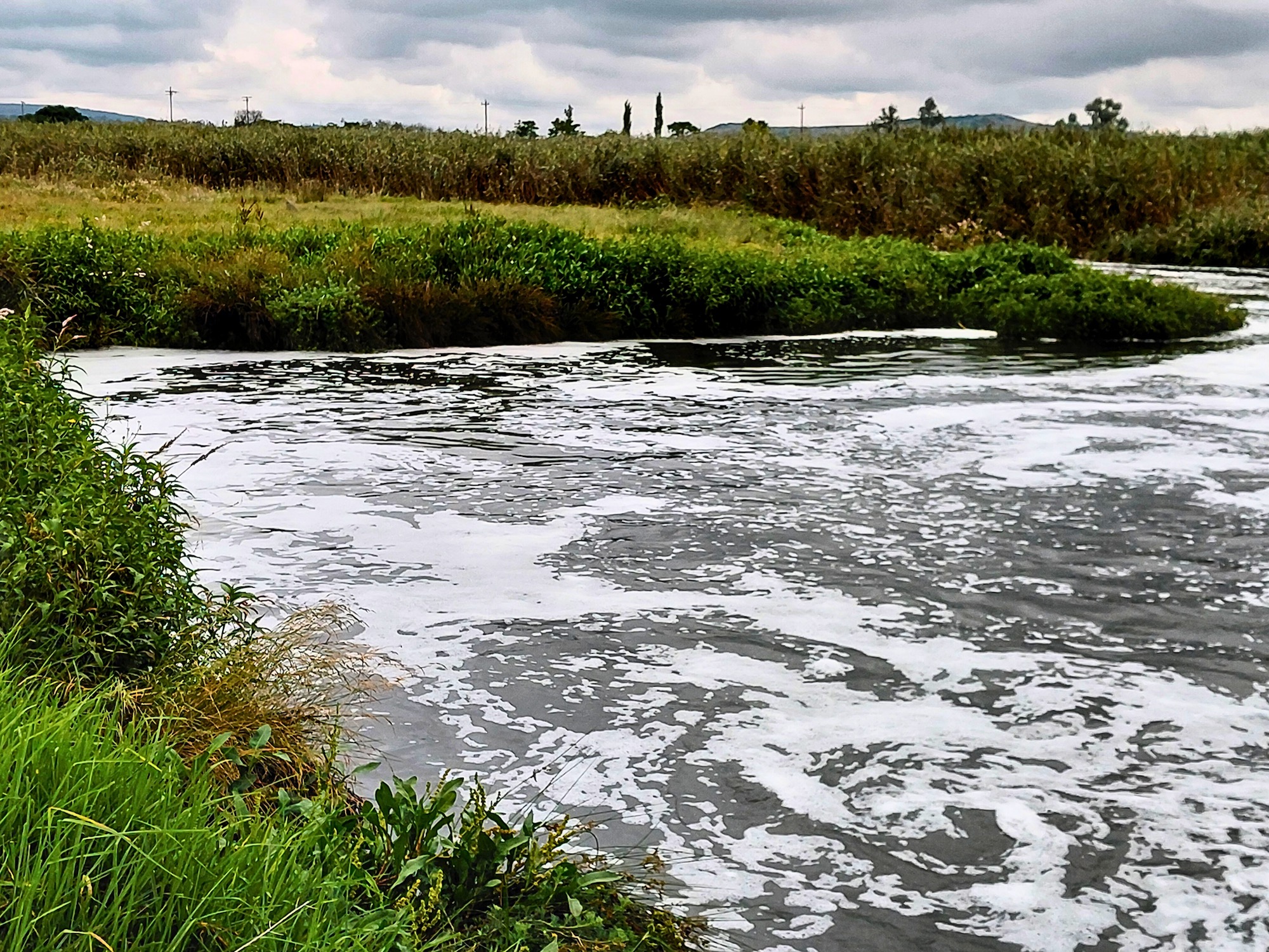 Pollution is killing Gauteng’s fresh water sources | GroundUp