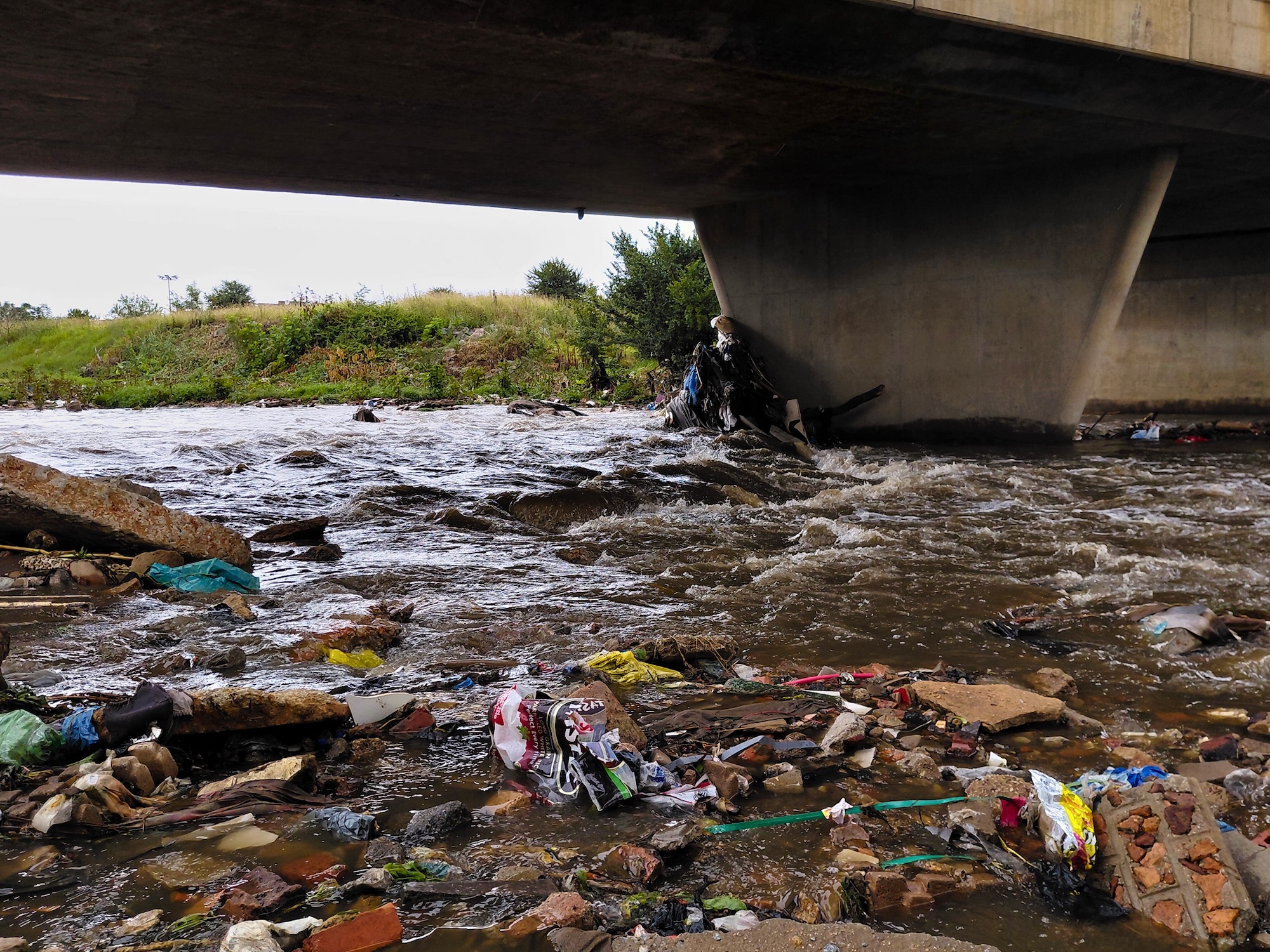 Pollution is killing Gauteng’s fresh water sources | GroundUp