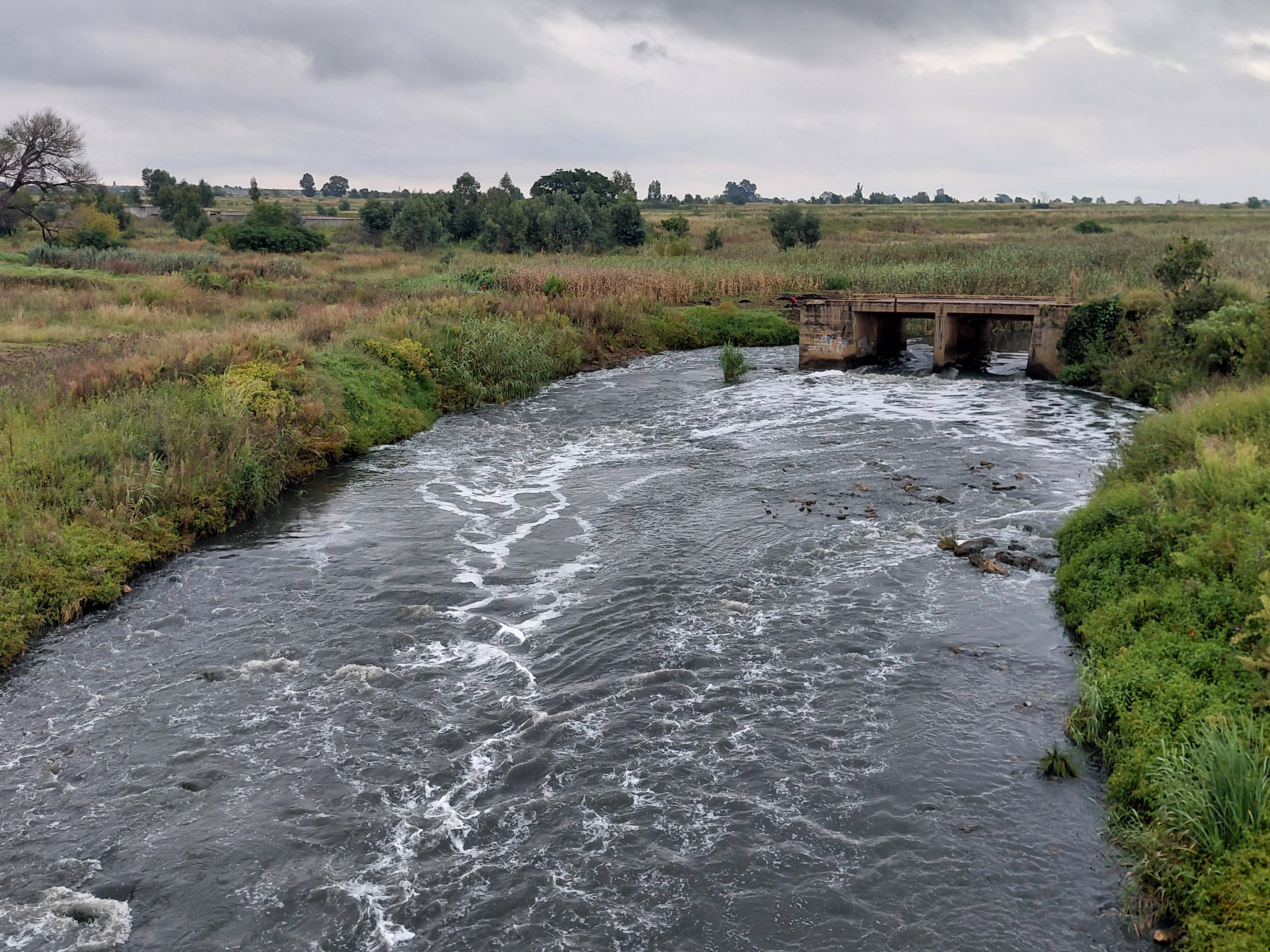 Johannesburg sewage treatment fails Green Drop assessment | GroundUp
