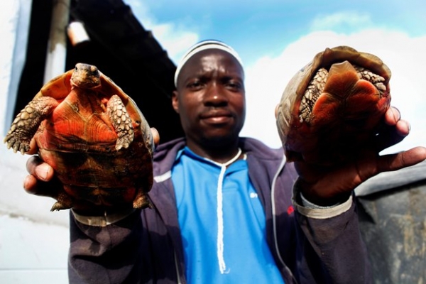 Township friendships with scales, wings and tails blossom | News24